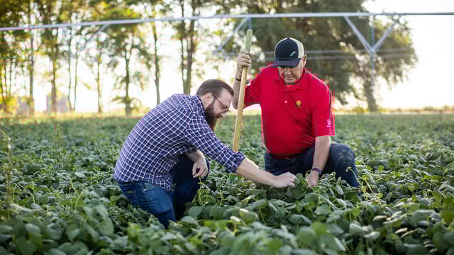 How “Boring Innovation” Holds the Key to the Future of Agriculture